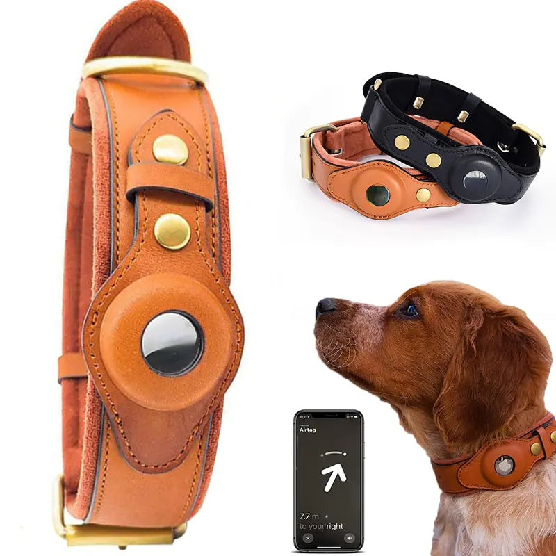 Leather Dog Collar With Airtag Holder – Grovarly